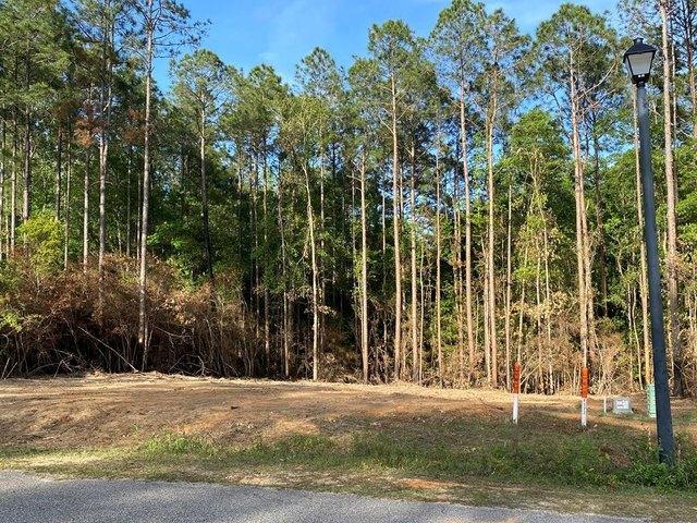 Sweet Birch Dr Lots 177 & 178, Carriere, MS 39426