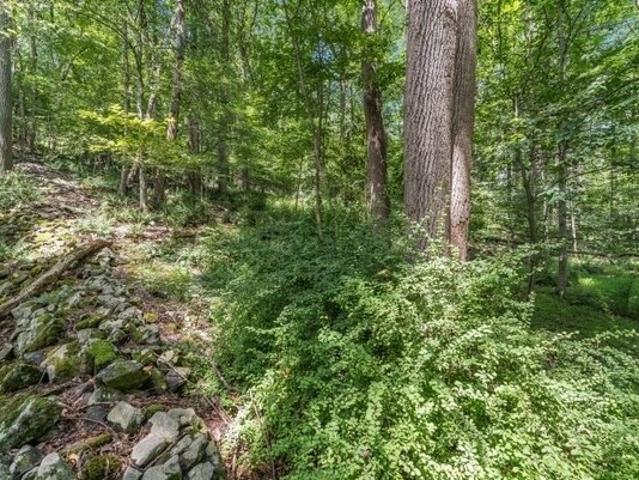 Sweet Hollow Rd, Holland Township, NJ 08848