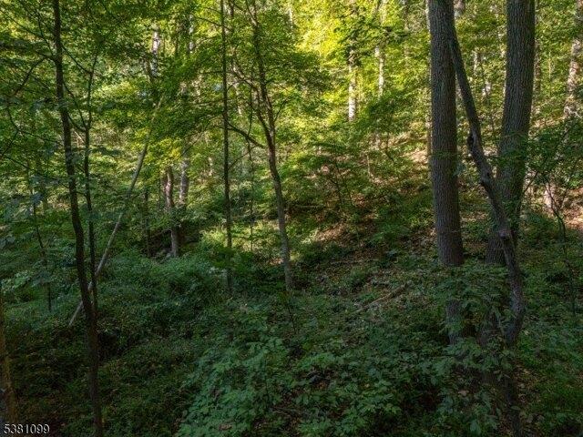 Sweet Hollow Rd, Holland Township, Plot For Sale
