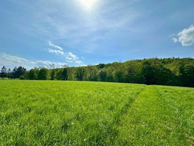 Sweet Pond Rd Lot A, Guilford, VT 05301