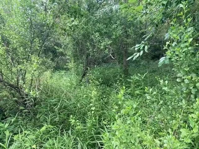Sweetwater Trail, Kissimmee, FL 34747 MLS S5107364