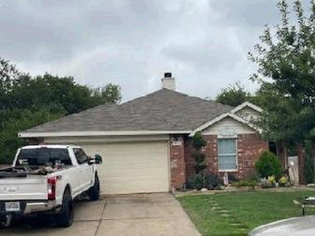 Switchgrass Ln