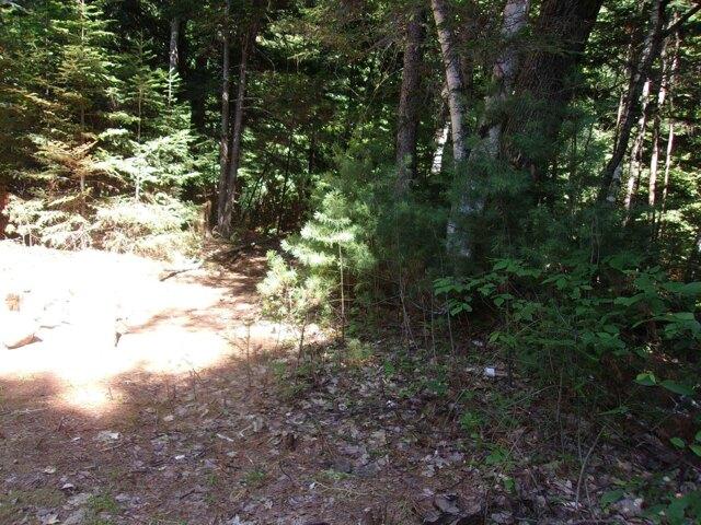 Swiftwater Cir Lot,haverhill, Plot For Sale