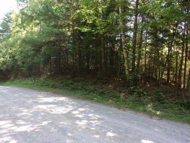Swiftwater Cir Lot,haverhill, Plot For Sale