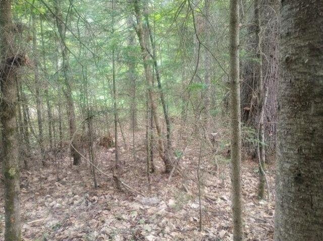 Swiftwater Cir Lot,haverhill, Plot For Sale