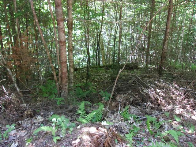 Swiftwater Circle # 177