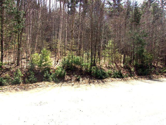 Swiftwater Circle # 259
