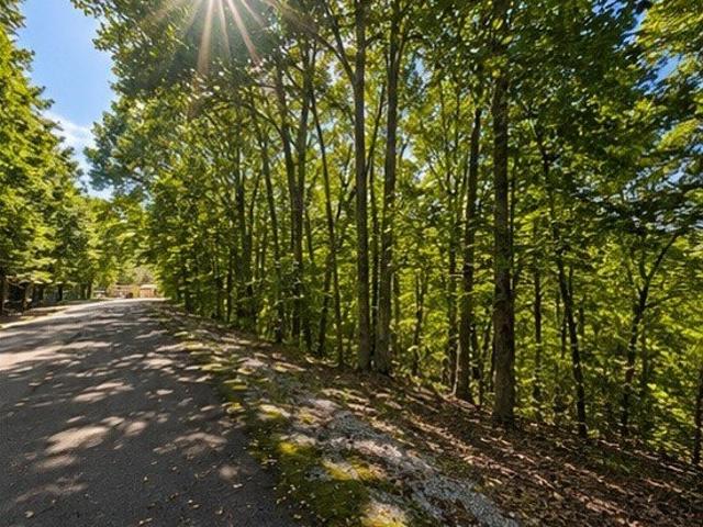 Swiper Dr, Smithville, TN 37166