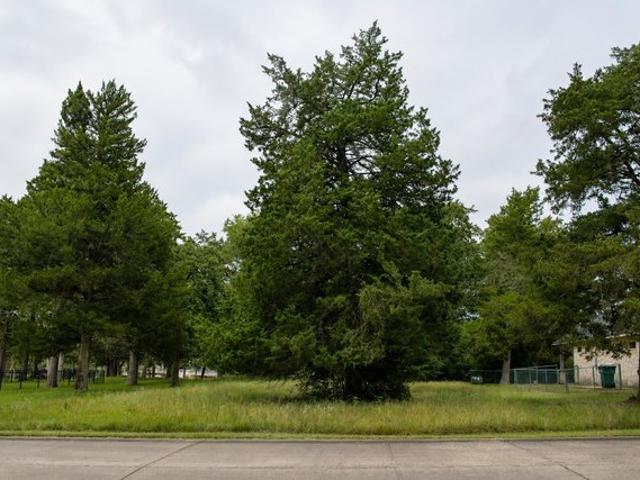 St Andrews Dr, New Ulm, TX 78950