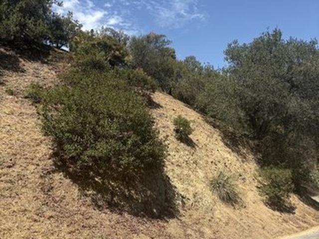 St Andrews Dr, Glendale, CA 91206