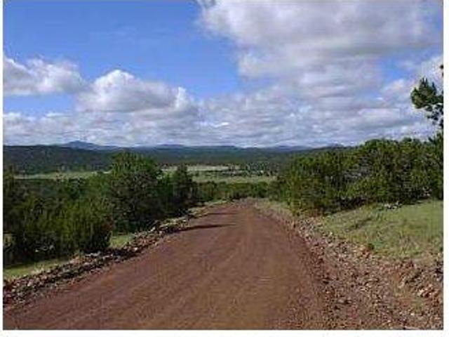 St Johns, AZ Apache Country Land 4.080000 acre for sale in Richville, Arizona