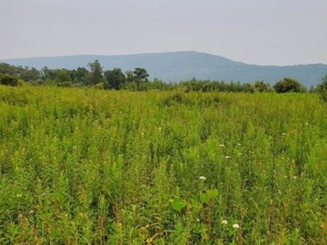St Johns Rd, Drums, PA 18222