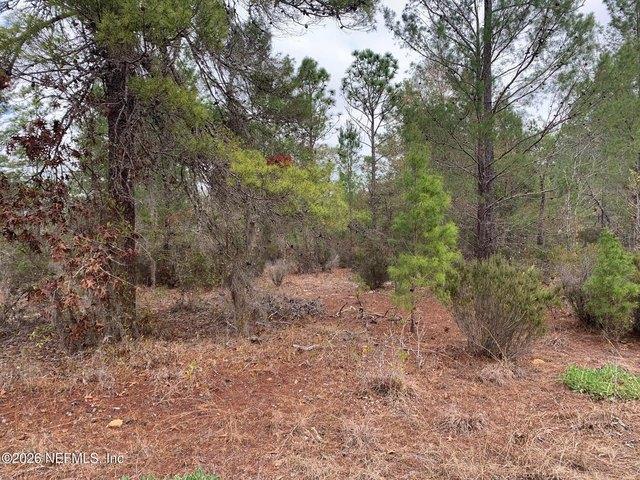 St Lucie Ave, Interlachen, FL 32148