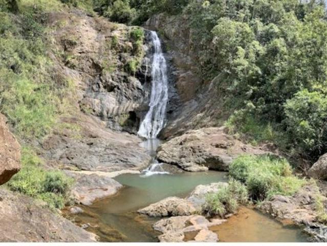 St Pallejas Ward, Orocovis, Farm House For