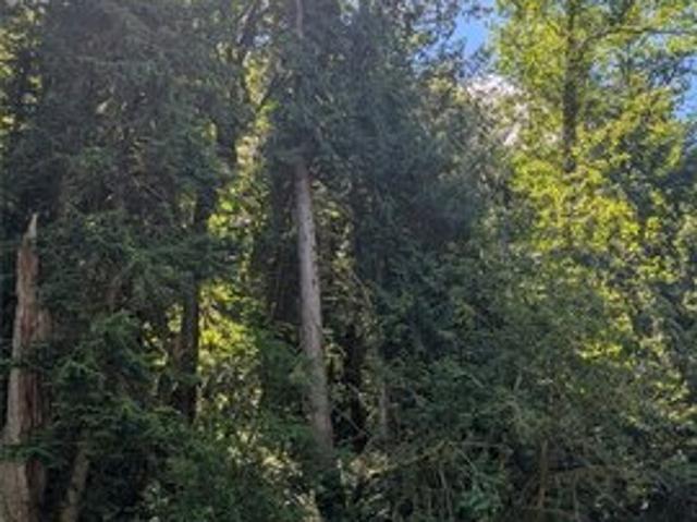 St Route 508 Hwy, Morton, WA 98356