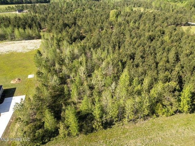 Stout Rd Lot 46, Canton, MS 39046