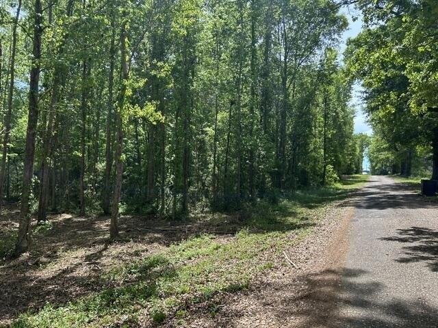 Stovall Ln Parcel 3, Summit, MS 39666