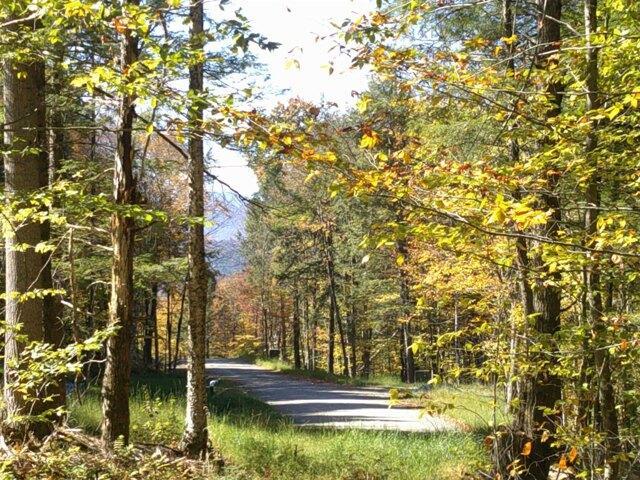 Stowe VT 05672 103161342