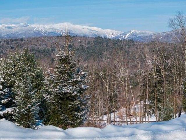 Stowe VT 05672 104513752