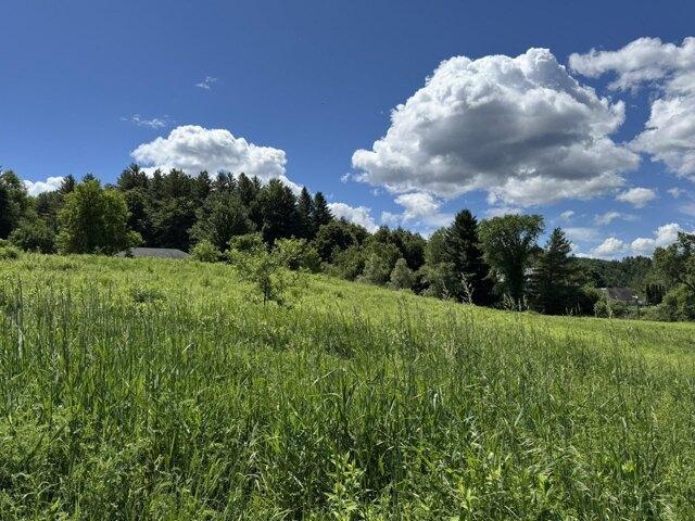 Stowe VT 05672 105107558