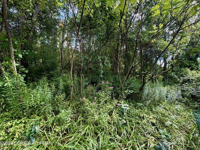 Stock St, Nesquehoning, PA 18240