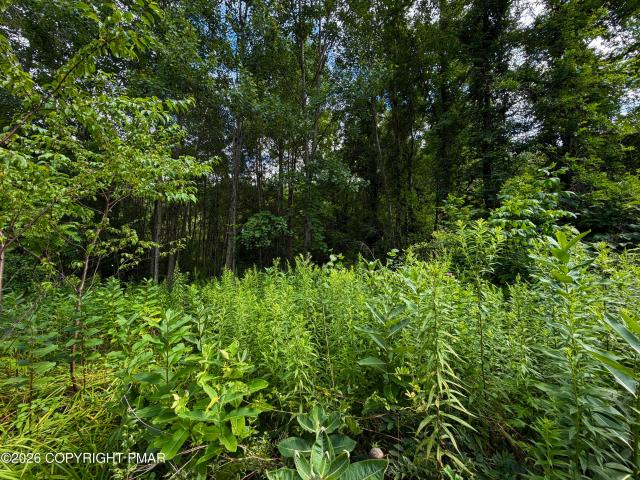Stock Street, Nesquehoning, PA 18240