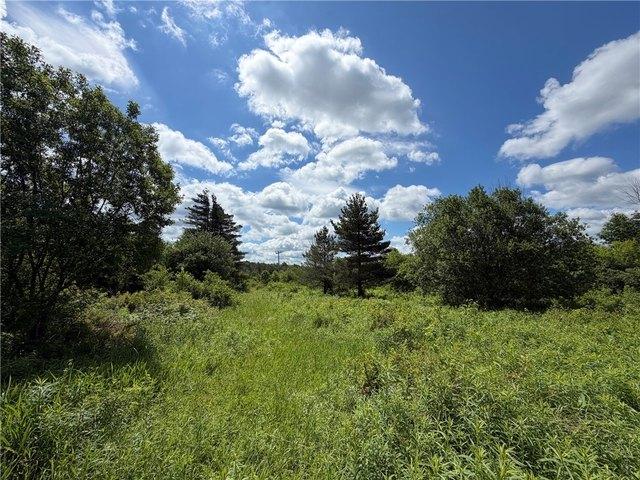 Stockton Rd, Stockton, NY 14784