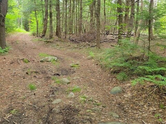 Stockwell Rd, Royalston, Plot For Sale