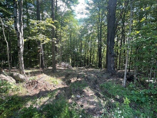 Stoddard NH 03464 LS103019859