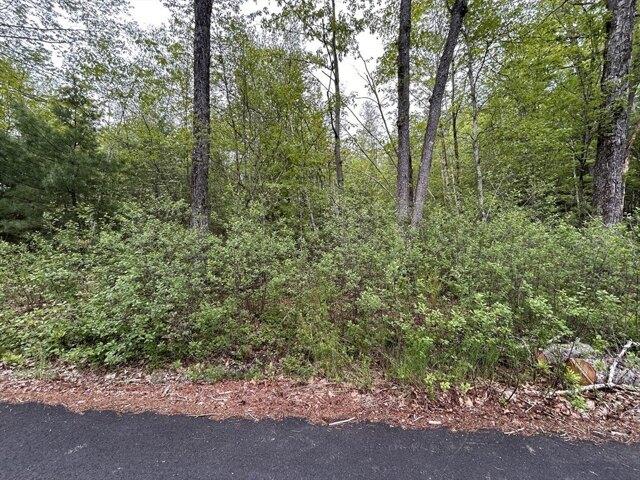 Stoddard Rd Lot,winchendon, Plot For Sale