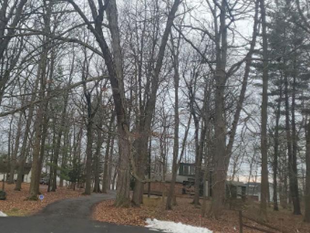 Stoecker Ln