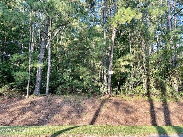 Stokes Rd, Rockingham, NC 28379
