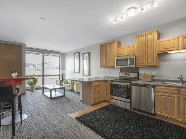 Stone Arch I 1 Bedroom Apartment for Rent at 601 Se Main St, Minneapolis, MN 55414 Marcy Holmes