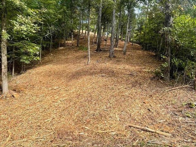 Stone Bridge Dr, Dandridge, TN 37725