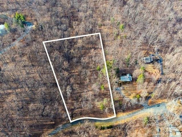 Stone Chimneys Rd Lot 28, Nellysford, VA 22958