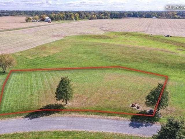 Stone Circle Dr, Brighton, IL 62012