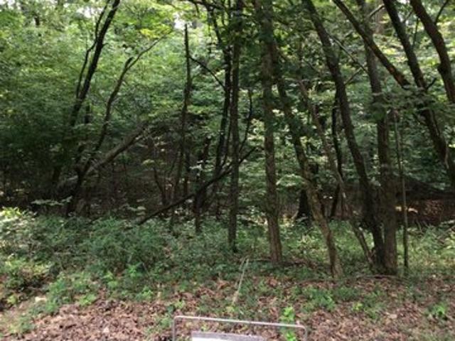 Stone Cutter Ct Lot 28, Huntingburg, IN 47542