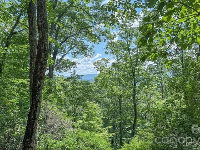 Stone Dr Unit L40, Brevard, NC 28712