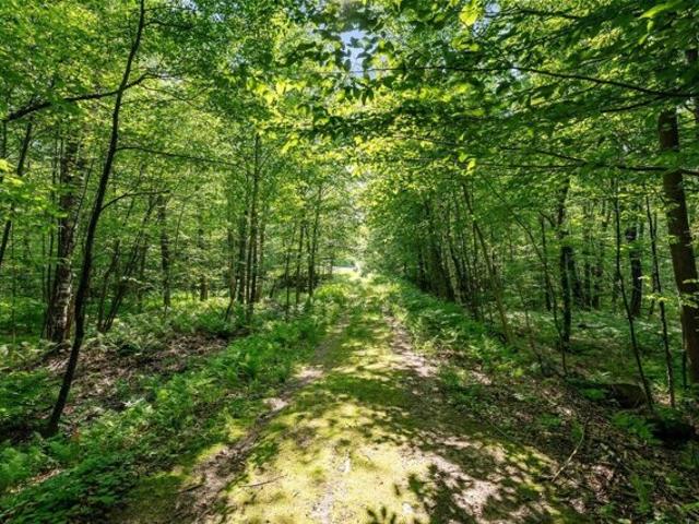 Stone Hill Rd, Bolton, Plot For Sale