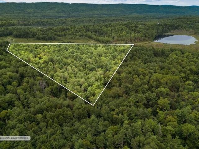 Stone Hill Rd, Palermo, Home For Sale