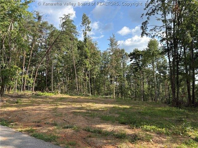 Stone Lick Rd, Kenna, WV 25248