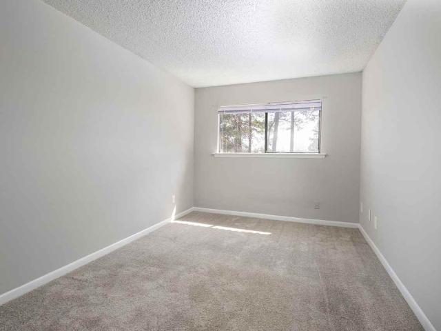 Stone Ridge Apartments 2 Bedroom Apartment for Rent at 1000 Watermark Pl, Columbia, SC 29210