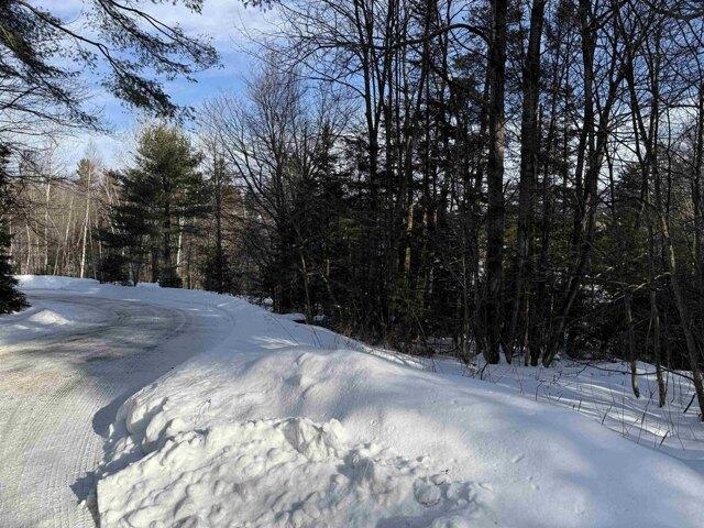 Stone Ridge Loop Lot,dover, Plot For Sale