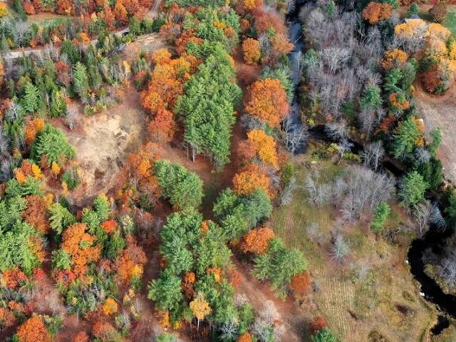 Stonebridge Rd Lot,wilmot, Plot For Sale