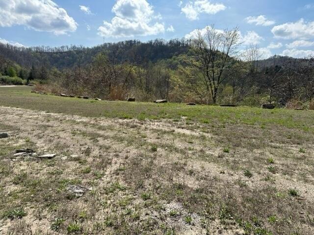 Stonehenge Dr, Pikeville, KY 41501