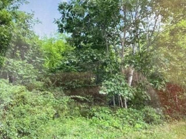 Stonewyck Ln, Damariscotta, Plot For Sale