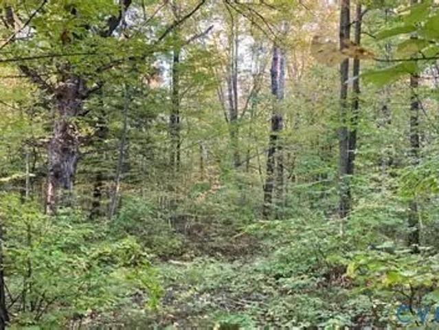 Stonewall Dr Lot 19, Amelia Court House, VA 23002