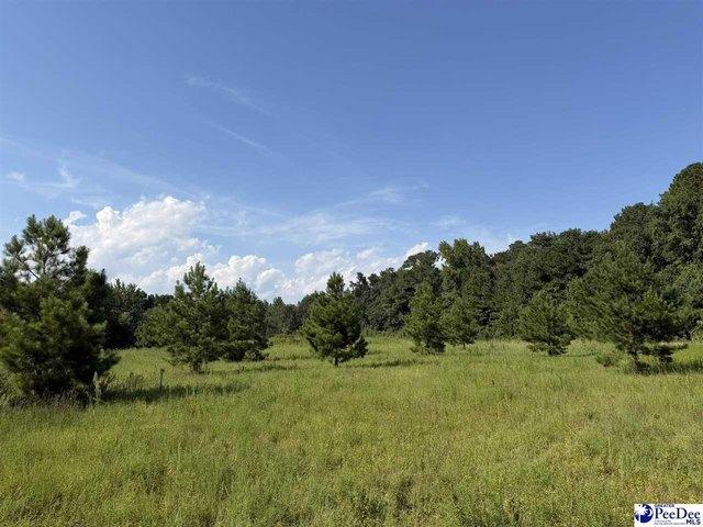 Stoney Ct, Dillon, SC 29536