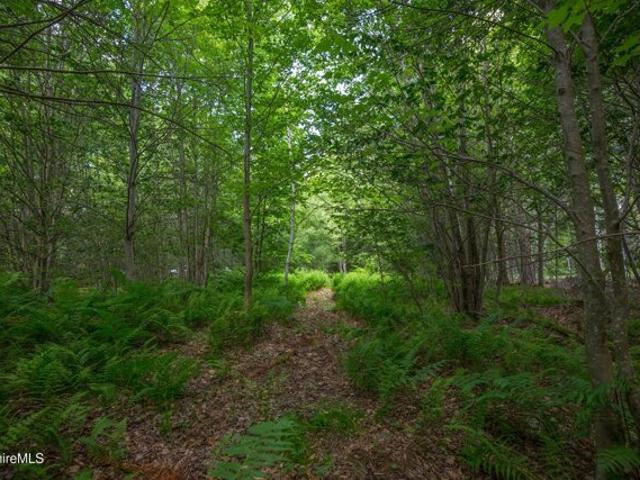 Stoney Brook Rd Lot,becket, Plot For Sale