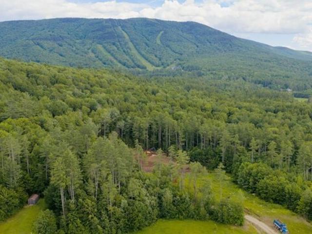 Stoney Brook Rd, Londonderry, Plot For Sale
